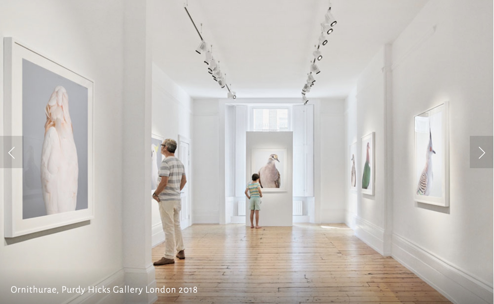 Leila Jeffreys - Flatland Gallery - Art, Projects and Presentations