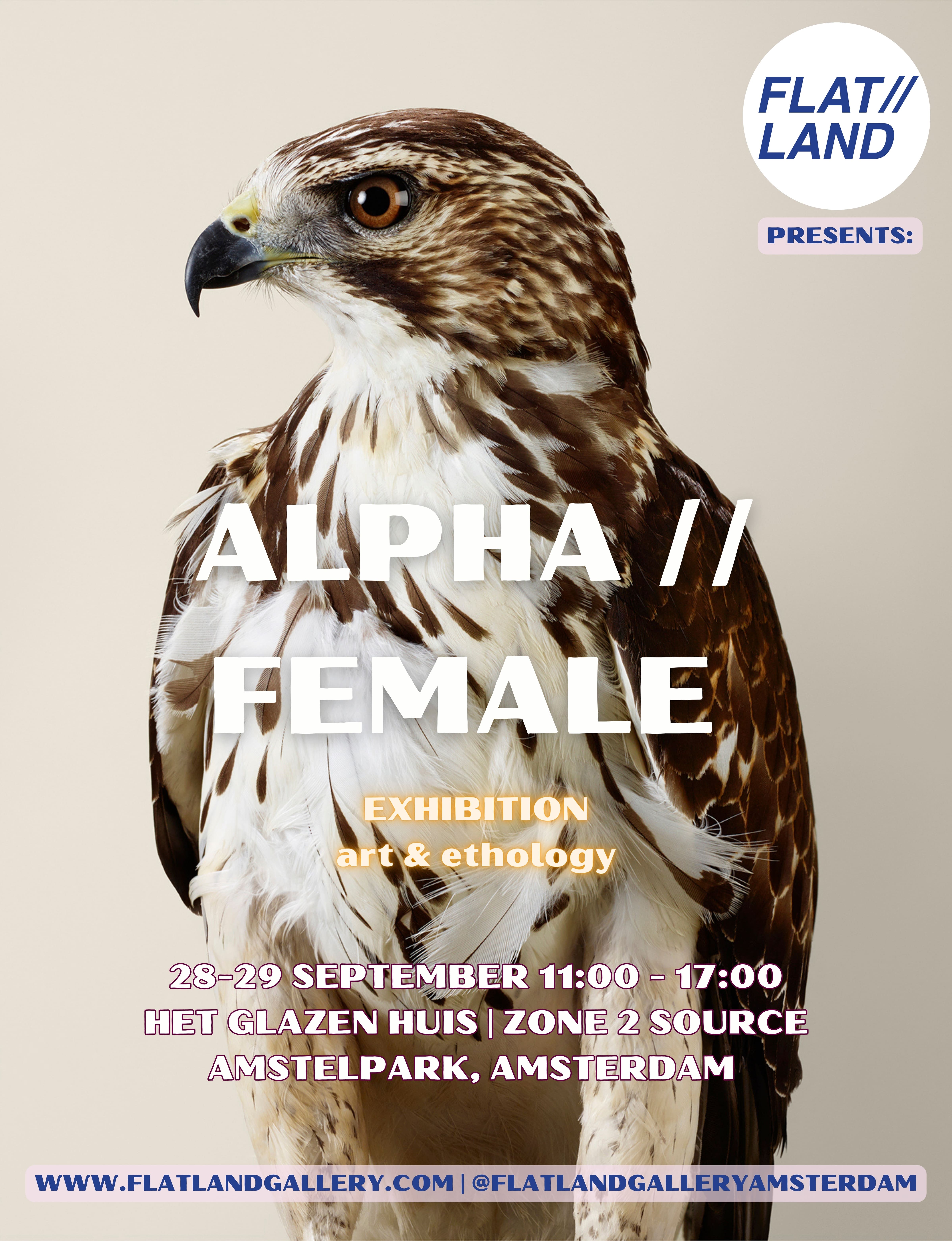 Flatland Gallery - ALPHA // FEMALE – Het Glazen Huis | Zone2Source